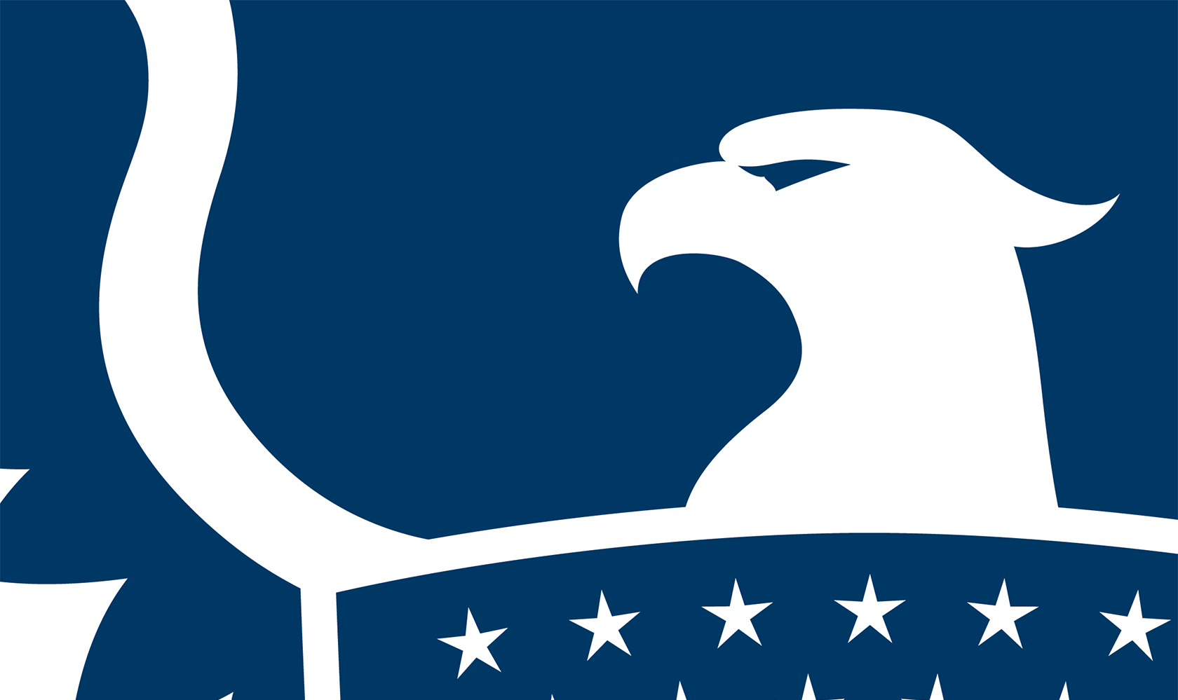 U.S. GAO - Homeland Security