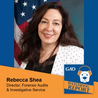 U.S. GAO - To Fight Fraud, Inspectors General Need Help Identifying ...