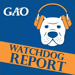 U.S. GAO - Protecting Military Weapon Systems from Cyberattacks