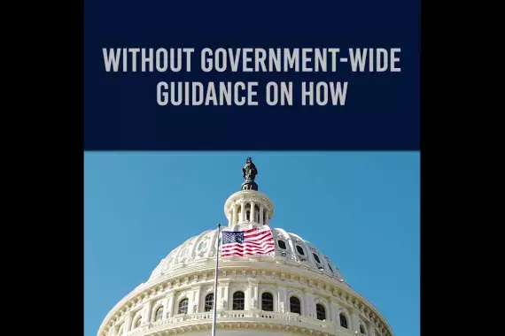 U.S. Government Accountability Office (U.S. GAO)