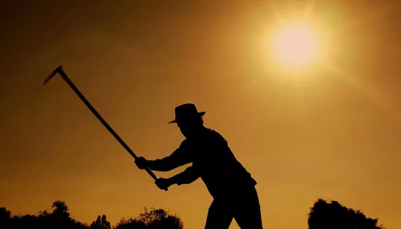 H-2A Visa Program: Agencies Should Take Additional Steps to Improve ...